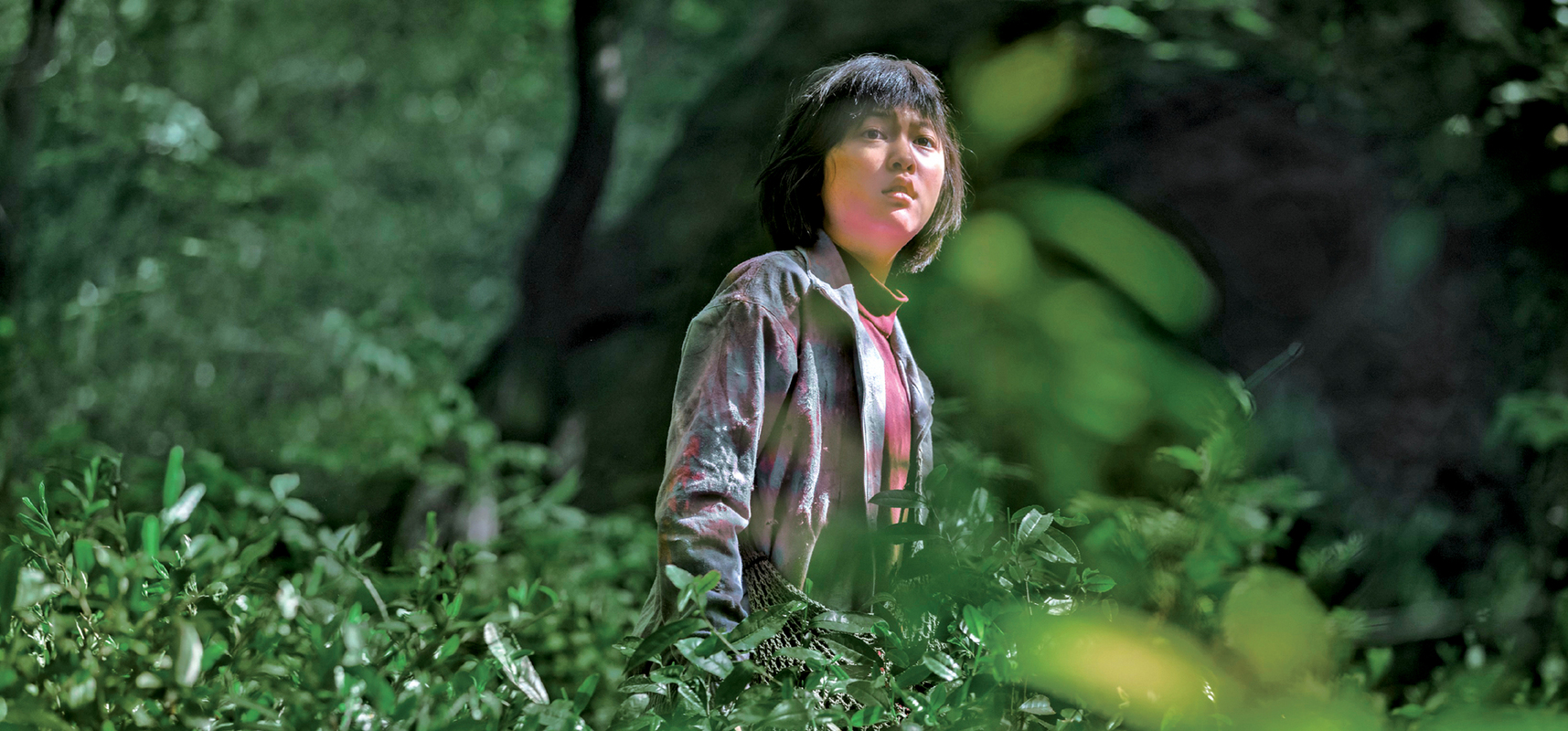 OKJA – Film Review – ZekeFilm