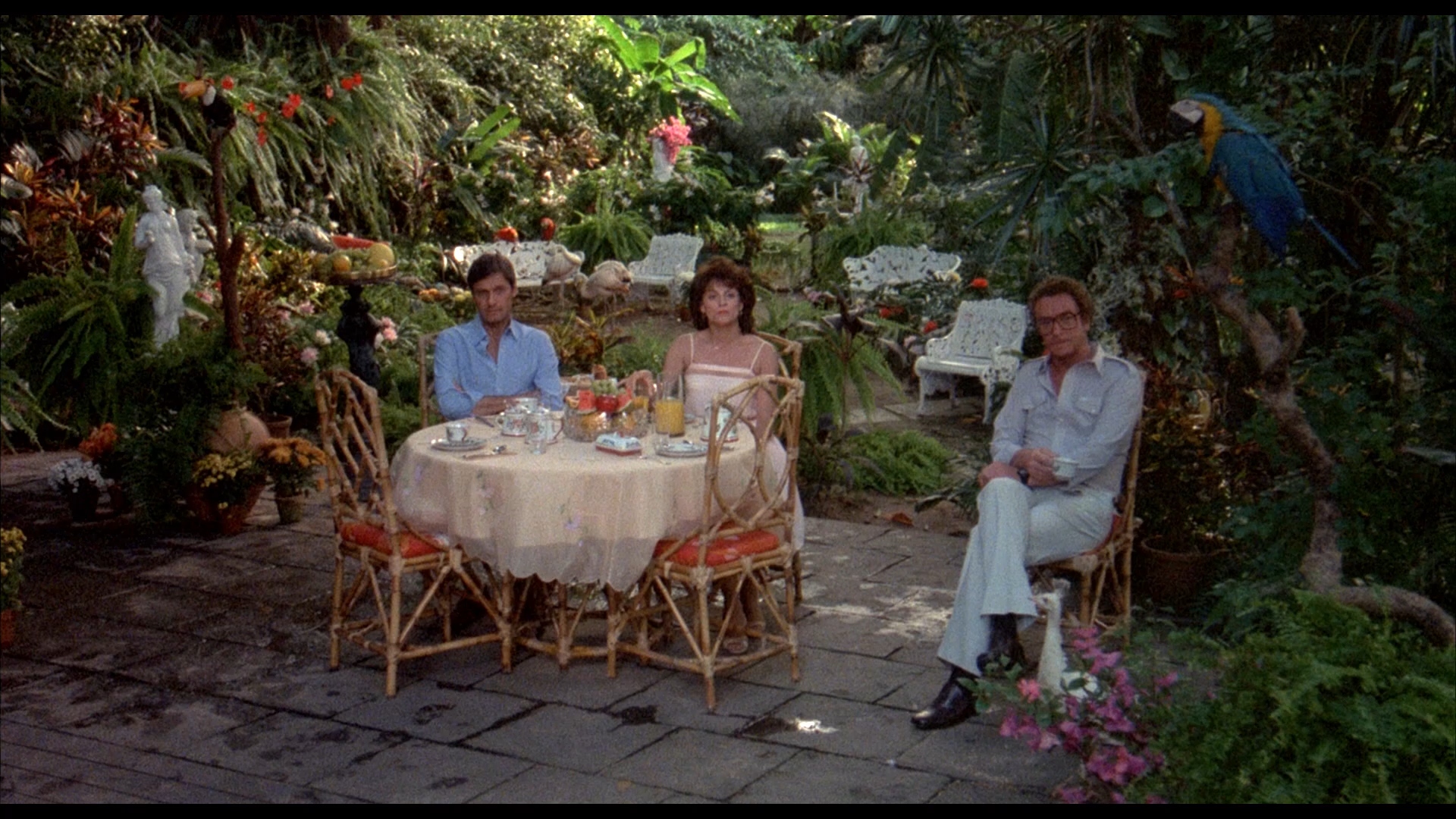 Blame It On Rio 1984 Blu Ray Review Zekefilm