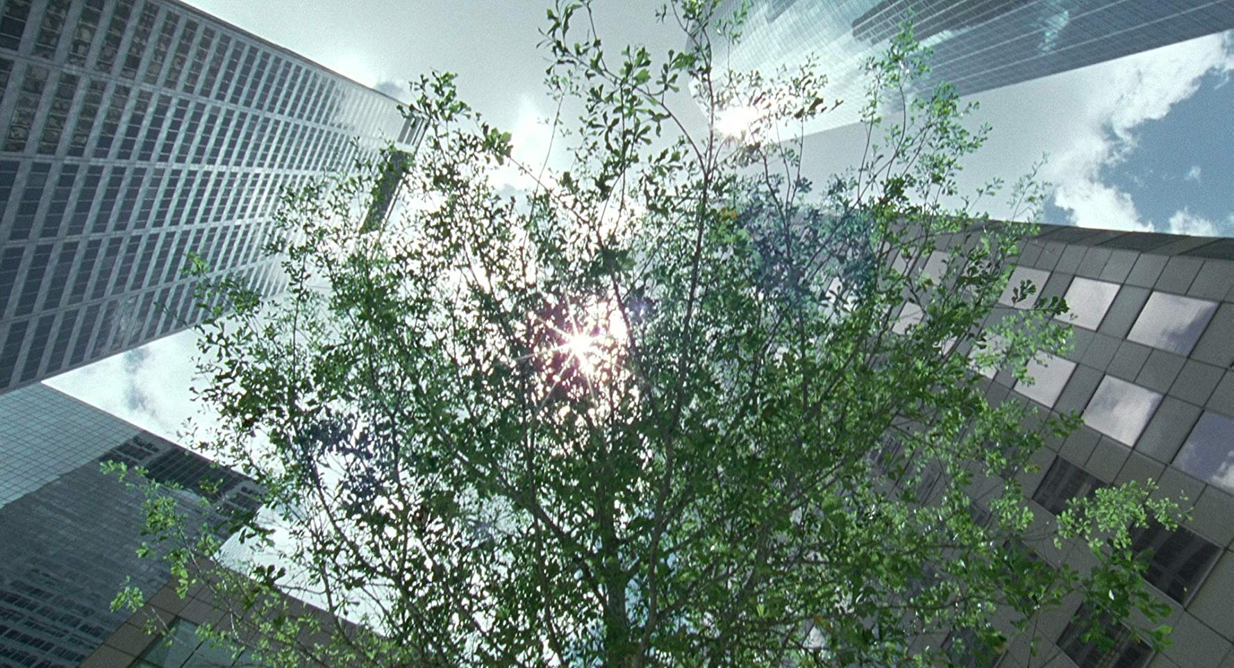 Reel Theology: The Theme of Grief in Terrence Malick’s THE TREE OF LIFE ...